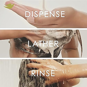 Dove Damage Therapy Derma Shampoo Soothing Moisture Pack of 6 for Flaky Scalp with Pyrithione Zinc and Almond Oil 12 Fl Oz