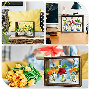 Grovind Plant Propagation Stations, Desktop Air Plant Terrarium with Wooden Stand Propagation Station, Propagator Glass Planters for Hydroponics Plants Home Office Gift for Woman