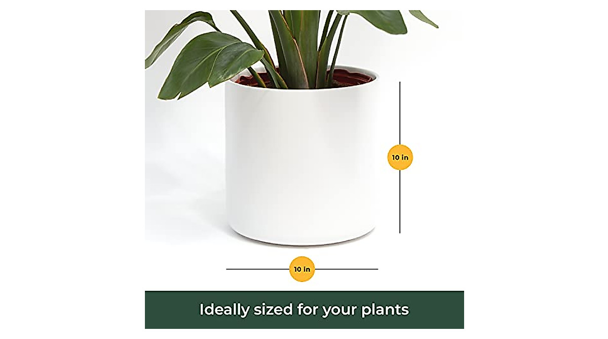 Bees & Buds 10 Inch White Plant Pot - Modern Indoor Planter
