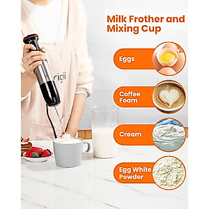 Brigii 800W Hand Blender, Immersion Hand Blender with 5 Mixing Speed, Handheld Blender Set including Blending Shaft, Food Chopper, Egg Whisk, Milk Frother, and Mixing Cup-Black