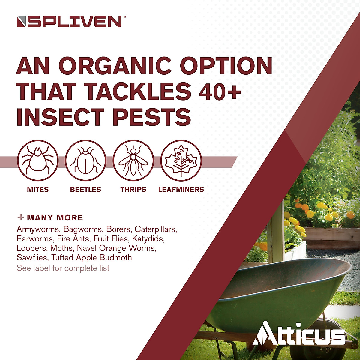 Spliven (Spinosad 0.5%) 32 oz Outdoor Insecticide Concentrate and Mite Killer for Organic Gardening (Compare to Leading Brand) - by Atticus