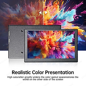 LESOWN 5 inch IPS Small Hdmi Monitor VESA Metal Shell 800x480 Mini LCD Screen Portable Display Monitor