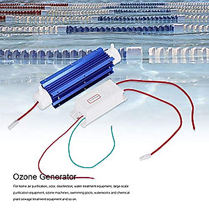 Uxsiya Ionizer Tube Ionizer 220V for Odor(10g)