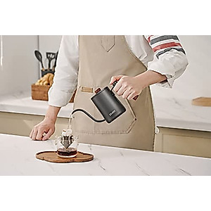 ZZUOM Gooseneck Tea Kettle Fashion Stainless Steel Pour Over Coffee Kettle Stove Top Teapot With Precision Pour Spout 550ml/18.6oz (Black)