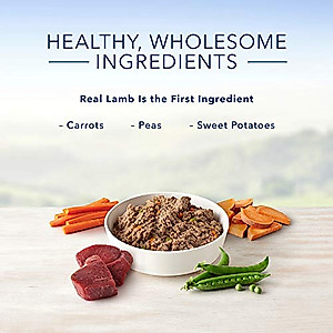 Blue Buffalo Homestyle Recipe Natural Adult Small Breed Wet Dog Food, Lamb 5.5-oz can (Pack of 24)