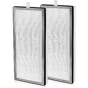 Fette Filter - True HEPA Replacement Filter, Compatible with MA Air Purifier 40 Series, 3-stage Pre-filter, H13 True HEPA and Activated Carbon Filter Set, (2- Pack)