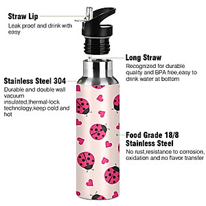 KEEPREAL Cute Ladybug Water Bottle with Straw, 22 OZ Sports Water Bottle BPA Free Stainless Steel Water Jugs for Gym, Travel, Working, Outdoor