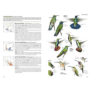 National Geographic Field Guide to the Birds of North America, 7th Edition