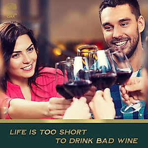 Crystal Glass Wine Decanter With Aerator - Wine Decanter Set With Wine Carafe Decanter, Aerator, Bottle Brush And Bottle Drying Rack, Wine Decanters And Carafes, Red Wine Decanter, 1.5L