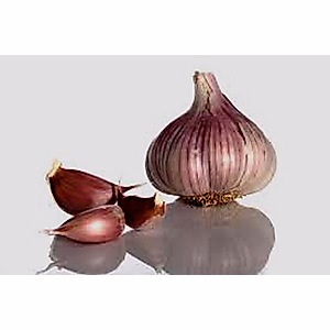 Garlic Bulb (6 Pack), Fresh Siberian HARDNECK Garlic Bulb for Planting and Growing Your OWN Garlic OR Eating