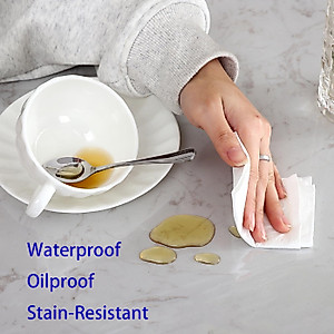 Walrus Clear Vinyl Tablecloth Protector Waterproof/Oil-Proof Plastic Square Transparent Sheet Table Cover 54X54 Inch