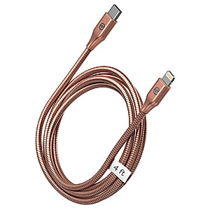 GALVANOX (2 Pack) Pet Proof iPhone Charger - Braided Metal Lightning to USB-C Charging Cables [Apple MFi Certified] Ultra Durable ChewProof Cord (4 Ft.) Compatible with iPhone and iPad