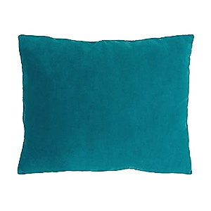 Warner Brothers Space Jam Blue, Orange and Teal Looney Tunes Super Soft Decorative Throw Pillow