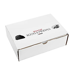 12 Piece Introduction to Sedimentary Rocks Kit - Includes 1" Specimens - Great for Geology Classrooms & Basic Field Testing Labs - Tech Cut Rocks by Eisco Labs