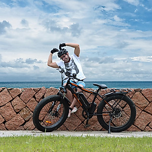 aostirmotor Electric Bike for Adults 750W(1000W Peak) 26"x4.0" Fat Tire EBikes 48V 13AH Removable Battery Adult Electric Bicycles, 28MPH E Bike for Adults, 29+ Miles Long Range Electric Mountain Bike