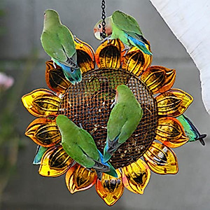 Wild Bird Feeder - Metal Bird Feeders, Sunflower Hanging Bird Feeder, Bird Seeds for Outside Wild Birds Patio & Garden Outdoor Decoration