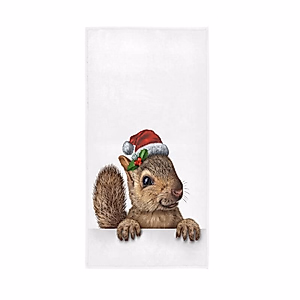 Tamniee Christmas Squirrel Hand Towels Santa Clause Hat Holly Berries Decor Kitchen Dish Towel Quality Premium Bathroom Washcloth 30 x 15 Inches for Beach Guest Hotel Spa Gym Sport Yoga Home