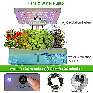 moistenland Indoor Hydroponic Garden, Hydroponics Growing System, Indoor Herb Garden Starter Kit with LED Grow Light, Inside Garden Growing System,Automatic Timer Plant Germination Kits (12 Pods)