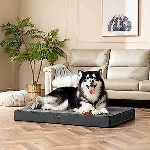 EHEYCIGA Orthopedic XL Dog Beds for Extra Large Dogs with Removable Washable Cover, Grey, 44x32