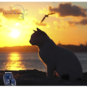 Eternal Harmony Pet Urns for Dogs with Secure Seal, Velvet Bag & Anti-Slip Felt Bottom, Animal Urn for Dog Ashes, Cat Ashes & Any Pet Up to 40 lbs (Blue, Medium)