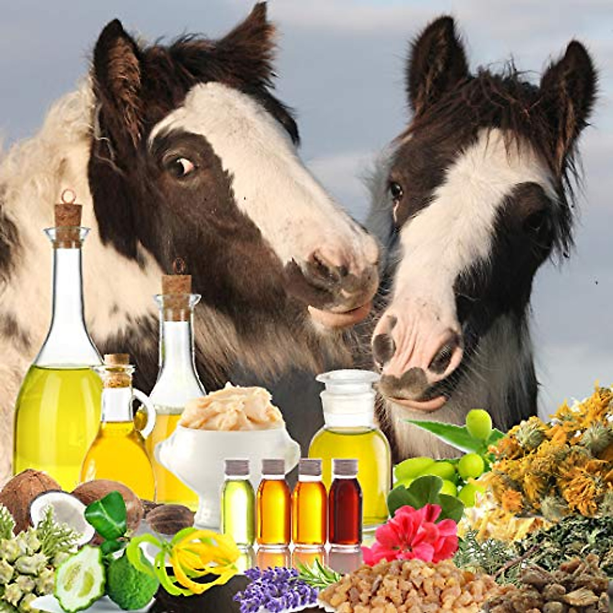 The Blissful Horses Summer Care Butter All Natural Sun Support for Your Horse, 4-Ounce