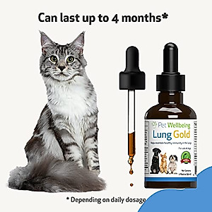 Pet Wellbeing Lung Gold for Cats - Vet-Formulated - Lung & Respiratory Immune Support, Open Airways, Easy Breathing - Natural Herbal Supplement 2 oz (59 ml)
