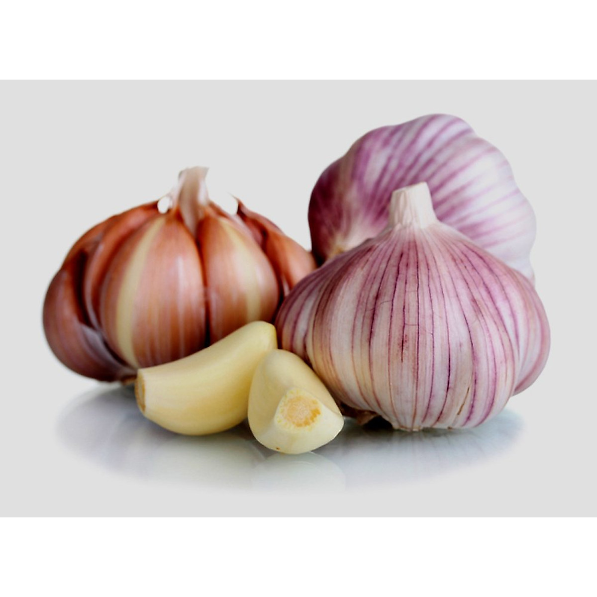 Garlic Bulb (6 Pack), Fresh Siberian HARDNECK Garlic Bulb for Planting and Growing Your OWN Garlic OR Eating