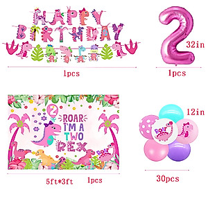 Two Rex Birthday Party Decorations Girl, Pink Dinosaur 2nd Birthday Party Supplies, 2nd Birthday Party Supplies Girl,Pink Dinosaur Birthday Party Supplies