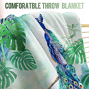 Levens Peacock Feathers Throw Blanket Gifts for Women Girls, Animals Decor for Couch Bed Sofa Travelling Camping, Birthday Christmas Soft Cozy Lightweight Blankets for Kids Adults 50"x60"