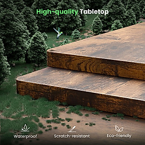 SIAGO Electric Standing Desk Adjustable - 48 x 24 Inch Sit Stand up Desk with Cable Management - 3 Memory Preset Adjustable Height Desk Computer Home Office Desk