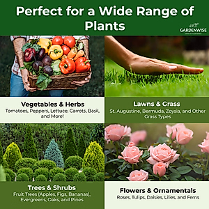 10-10-10 Plant Fertilizer Slow Release – 10 10 10 All Purpose Granular Garden Fertilizer for Fruit Trees, Evergreens, Vegetables, Arborvitae, Fig Trees, Shrubs, Pines, Oaks, Flowers (1/2 Quart)