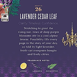 Caldrea Hand Soap Refill, Aloe Vera Gel, Olive Oil And Essential Oils To Cleanse And Condition, Lavender Cedar Leaf, 32 Oz