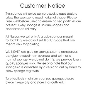 Naroa Soft Natural Sponge | Gentle Sea Sponge for Bathing Healthy Skin | Unbleached Shower Body Scrubber Puff | Eco Friendly Bath Spa Sponge (Soft - Medium)