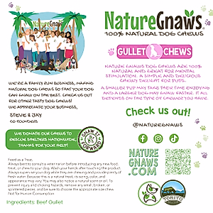 Nature Gnaws Beef Gullet Chews for Large Dogs 9-10" (10 Count) - Natural Beef Jerky Stick Dog Chew Treats - Rawhide Free