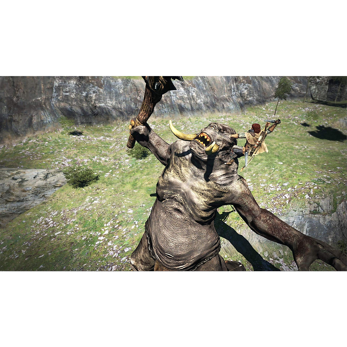 Dragon's Dogma: Dark Arisen - Nintendo Switch