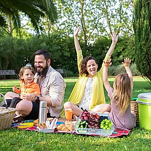 Large Snack Box Container, Clear Divided Serving Tray with Lid and Handle, Portable Snack Tray with Lid for Fruit Veggie Candy, Travel Snackle Box Charcuterie Container for Picnic Party (White, 1 pcs)