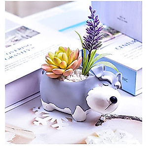 Cute Schnauzer Puppy Sleeping Pet Flowerpot with Drainer Garden Flowerpot Resin Succulent Potted Bonsai Plant Stand Home Desk Mini Ornaments Balcony Gardening Flowerpot Does Not Contain Plants