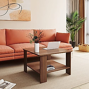 WAHEY Coffee Table, 2-Tier Simple Living Room Table with Storage Shelf, LRCT001