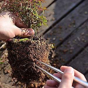 KAKURI Bonsai Root Hook, 7.8" Professional Gentle Bonsai Root Pick Tool, Lightweight Japanese Aluminum, Silver, Made in JAPAN