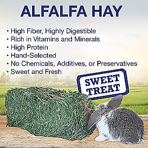 Grandpa's Best ALF10 10 lb Alfalfa Hay Bale (Packaging may vary )
