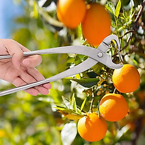 Omabeta 27cm Stainless Steel Trunk Splitter Bonsai Tools Professional Garden Branch Cutter Beginner Bonsai Tools Trunk Splitter Scissors Garden Pruning Equipment