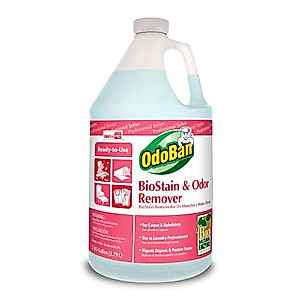 OdoBan Professional Series Cleaning 3-in-1 Carpet Cleaner Concentrate, 1 Gallon & Professional Cleaning Ready-to-Use BioStain and Odor Remover, 1 Gallon