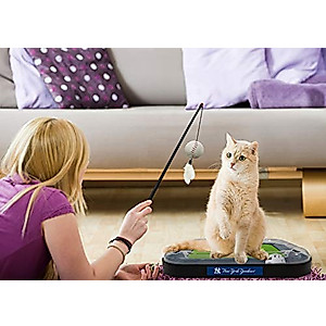 Pets First New York Yankees Baseball Cat Scratcher Toy