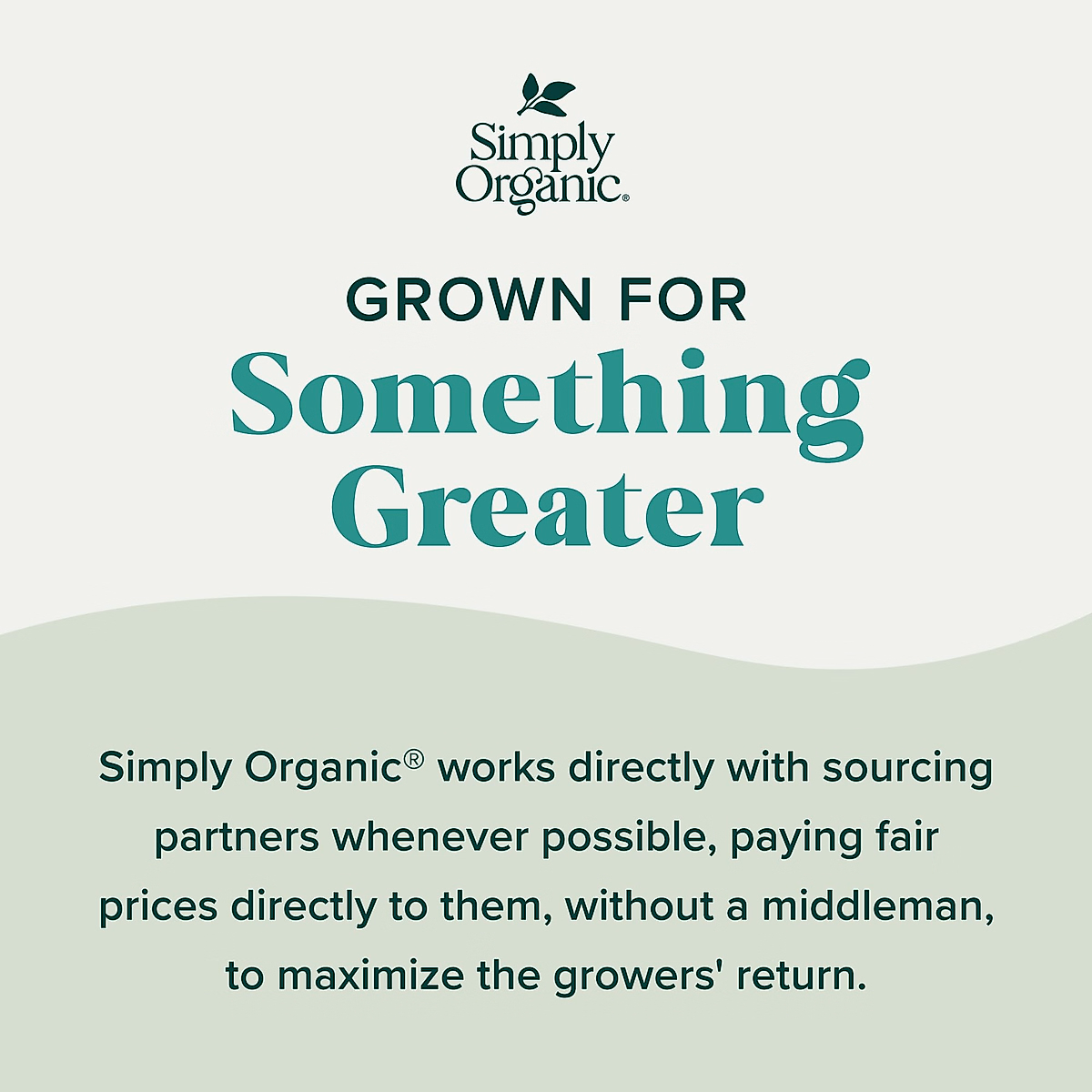 Simply Organic Certified Organic Minced White Onion, 2.21-Ounce Jar, Warm, Sweet, Salty Flavor For Stews & Soups, Kosher