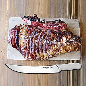 Dexter-Russell 12" Cimeter Style Steak Cutter, S132-12PCP, SANI-SAFE series, Multicolor