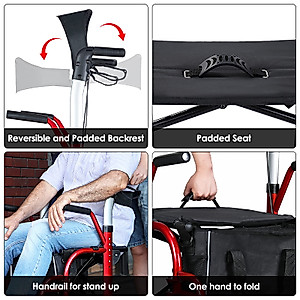 Healconnex 2 in 1 Rollator Walker for Seniors-Medical Walker with Seat,Folding Transport Wheelchair Rollator with 10" Big Pneumatic Rear Wheels,Reversible Soft Backrest and Detachable Footrests