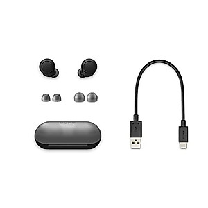 Sony WF-C500 Truly Wireless In-Ear Bluetooth Earbud Headphones with Mic and IPX4 water resistance, Black