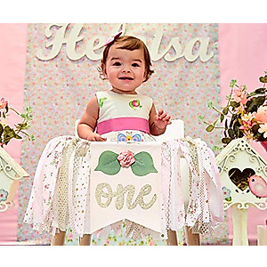 High Chair Banner for 1st Birthday - First Birthday Decorations for Photo Booth Props, Birthday Souvenir and Gifts for Kids,One Birthday Decorations for Baby (Baby Girl)
