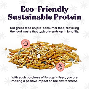 Forager's Feed Black Soldier Fly Larvae Sustainable Cake Mix for Chicken Health, 2.5 Lbs. Bag