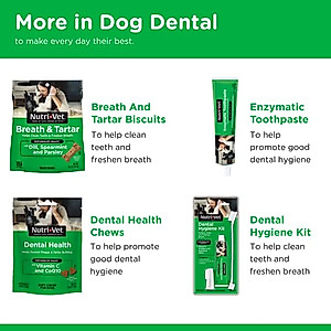 Nutri-Vet Enzymatic Toothpaste for Dogs - Non-Foaming Chicken Flavor - Promotes a Healthy Active Lifestyle - 2.5 oz